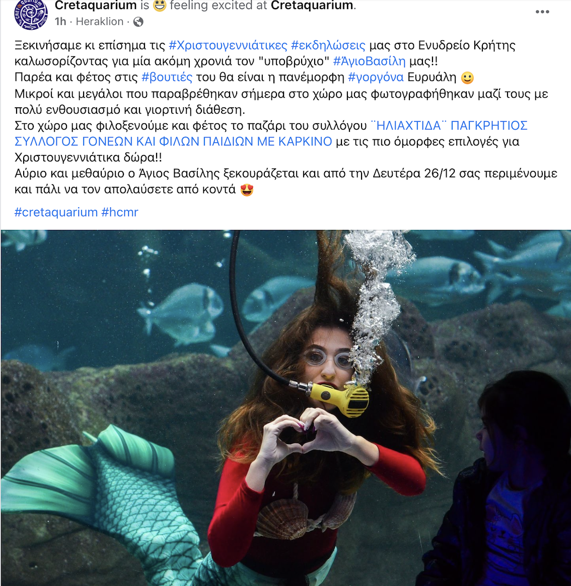 Ο Άγιος Βασίλης επέστρεψε στο Ενυδρείο Κρήτης, παρέα με μια γοργόνα! | Cretalive ειδήσεις